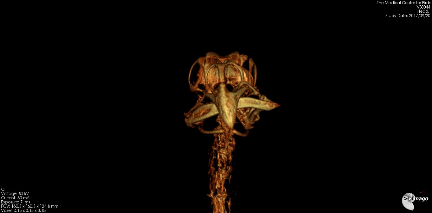 Advanced Imaging - Medical Center for Birds - Oakley, CA